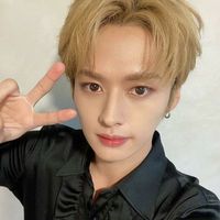 Stray Kids:CHOEAEDOL - Hottest idol community