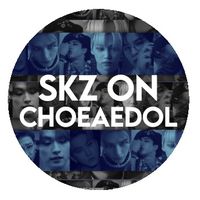 Stray Kids:CHOEAEDOL - Hottest idol community
