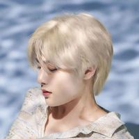 Stray Kids:CHOEAEDOL - Hottest idol community